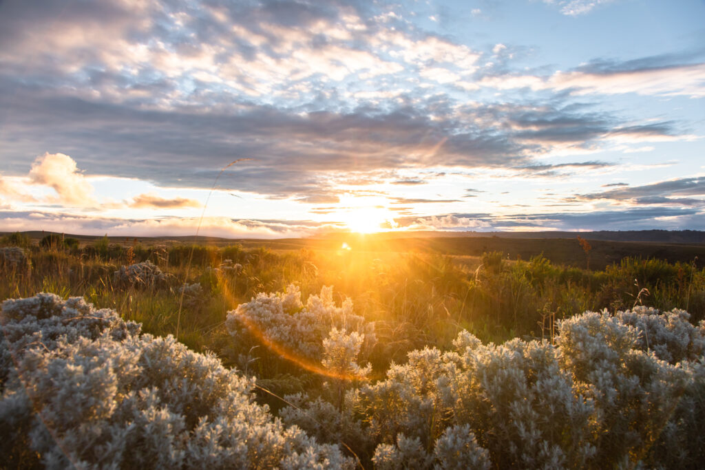Kitulo National Park - Wild Haven Travel